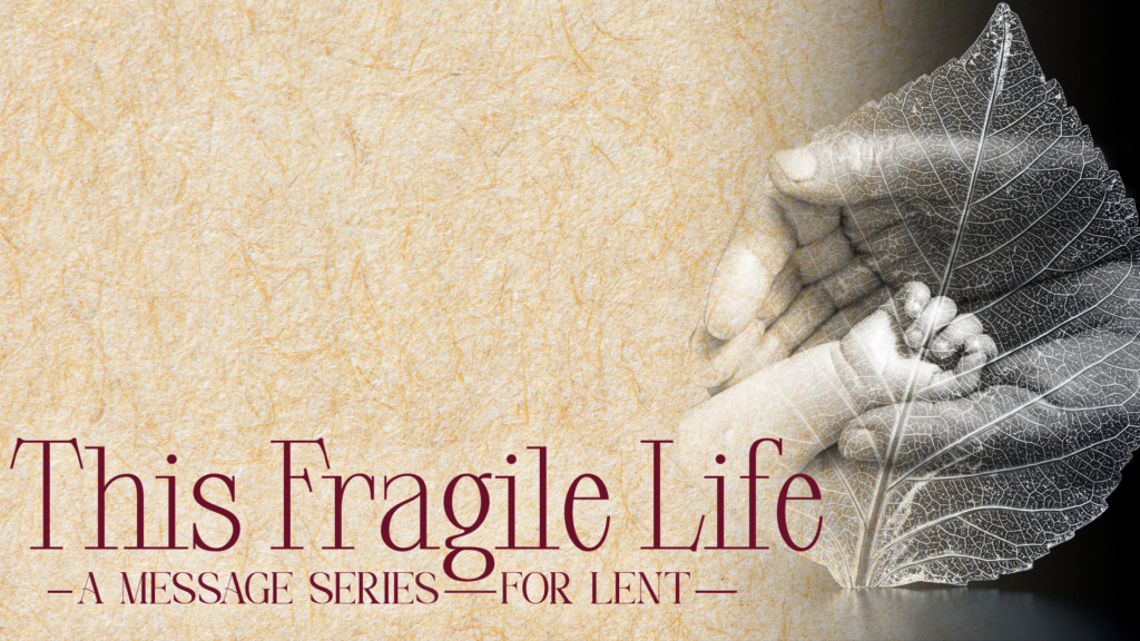 The Lens of God's Grace - Vineyard Church of Augusta